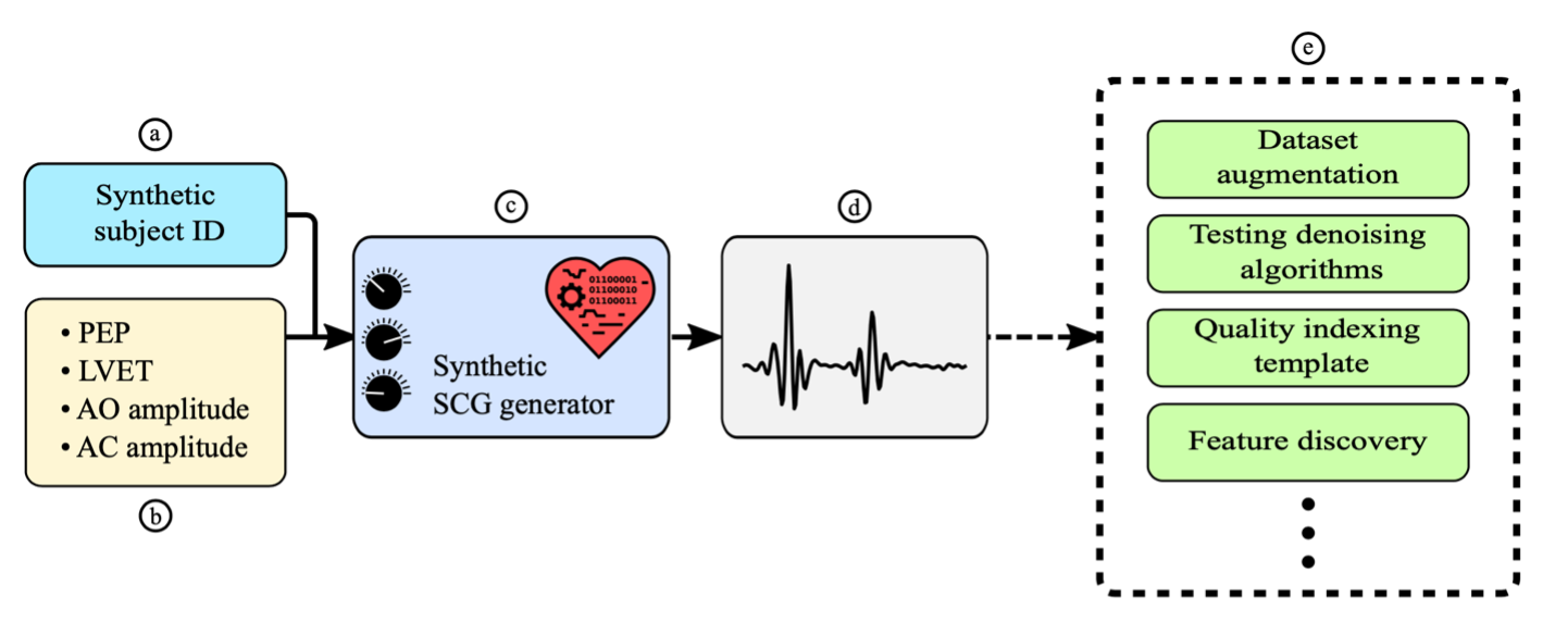 Synthetically Generated Realistic And Controllable Human Bio Signals